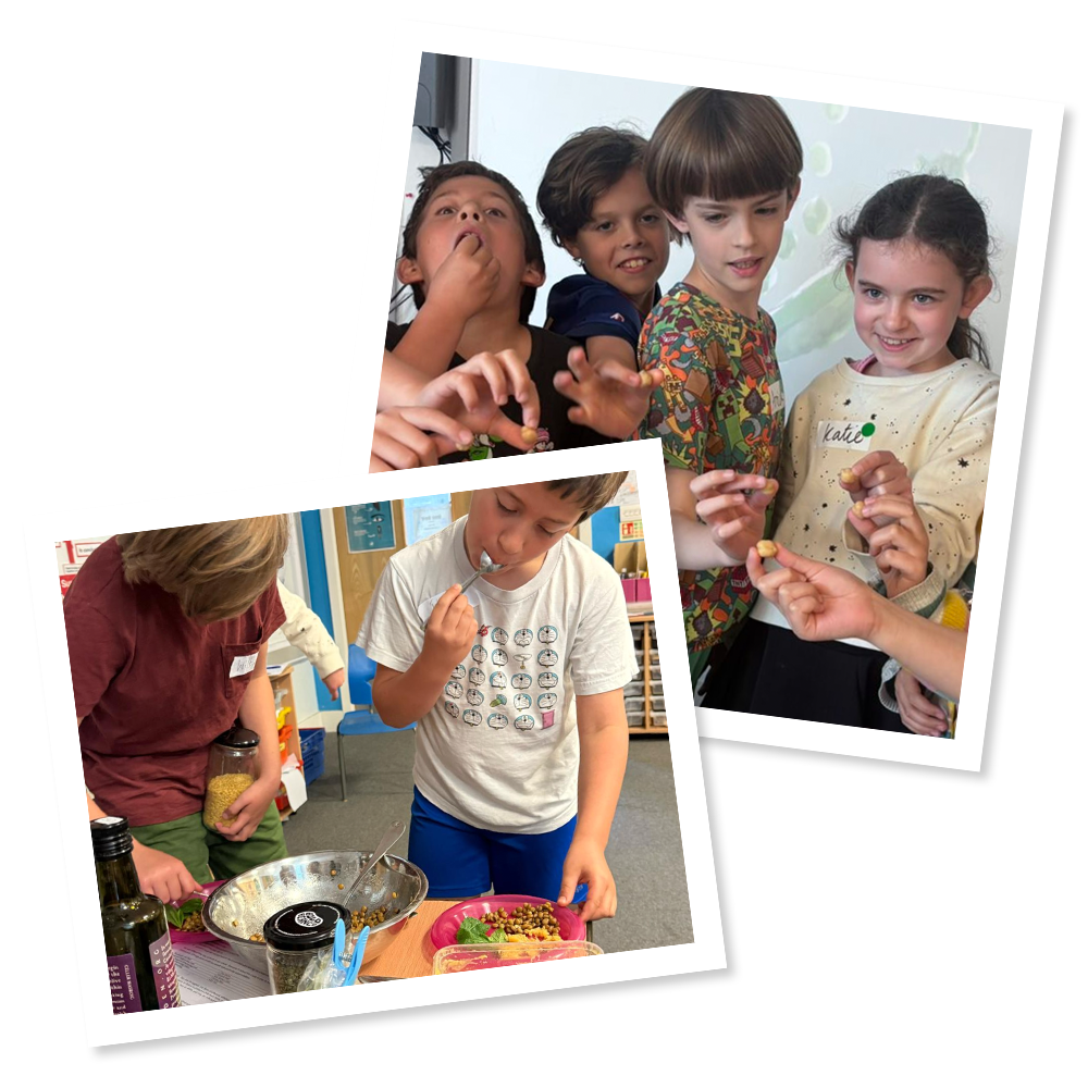 The Big Bean Boost... Teaching Resources - Veg Power