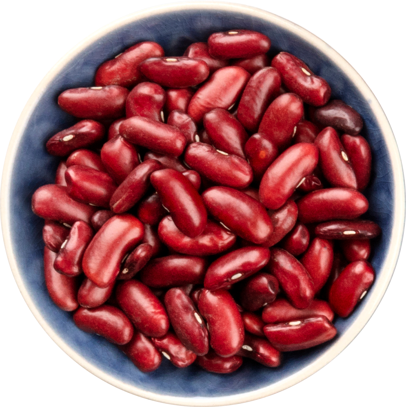 Boosting Beans - Veg Power